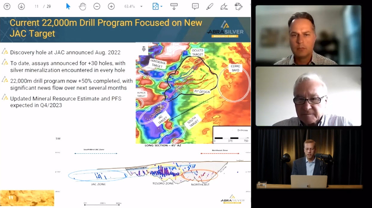 GoldSeek TV: AbraSilver Expands Drilling at Its High-grade Silver ...